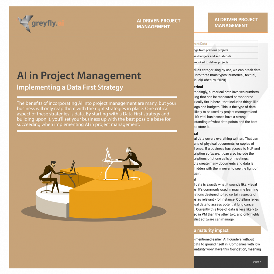 Implementing a Data First Strategy - Greyfly