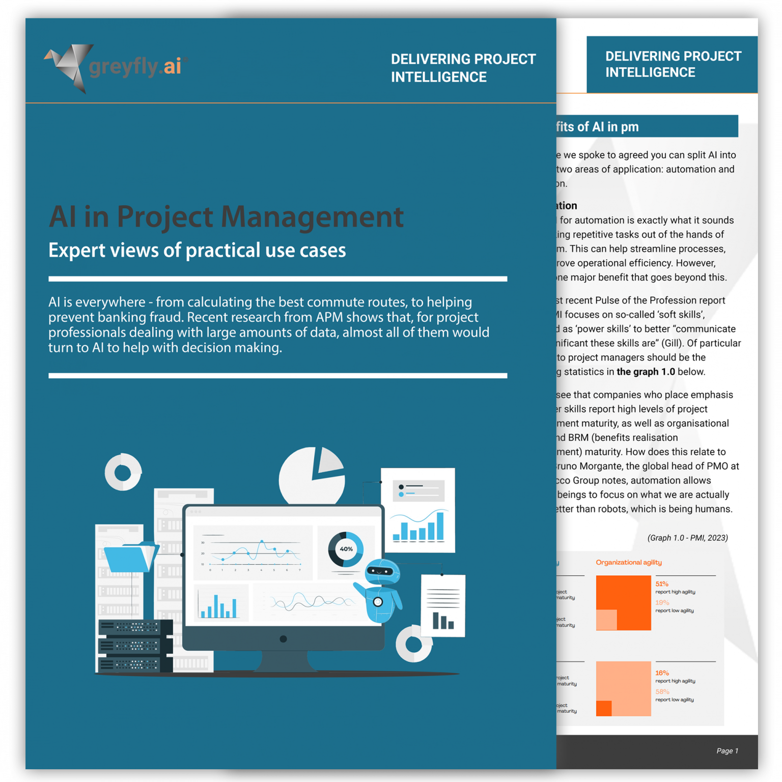 Expert Views Of Practical Use Cases Greyfly