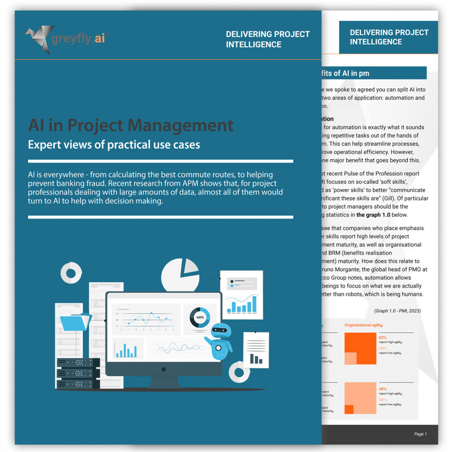 Download | Expert Views of Practical Use Cases - Greyfly