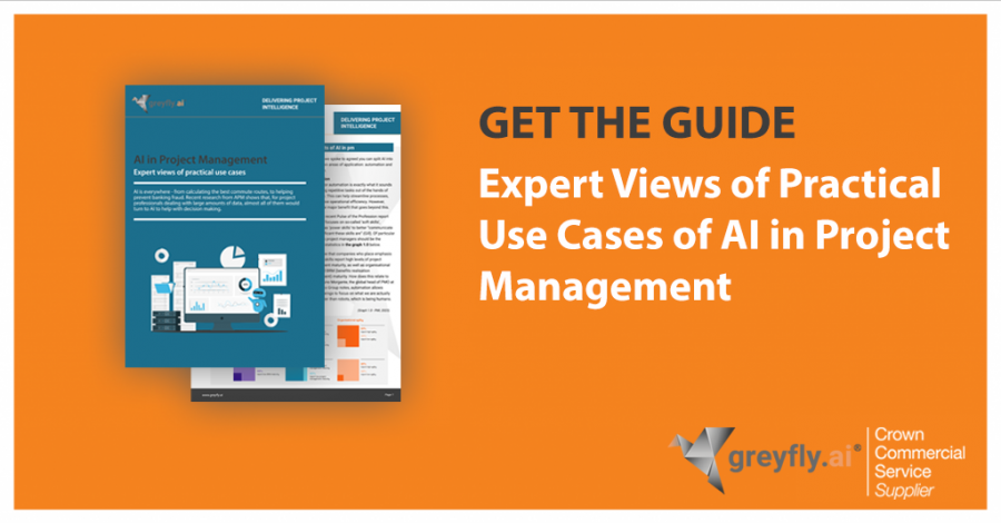 New Guide | Expert Views of Practical Use Cases - Greyfly