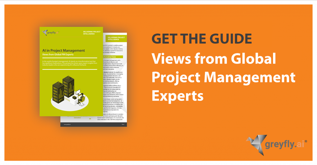 Views from Global Project Management Experts - Greyfly